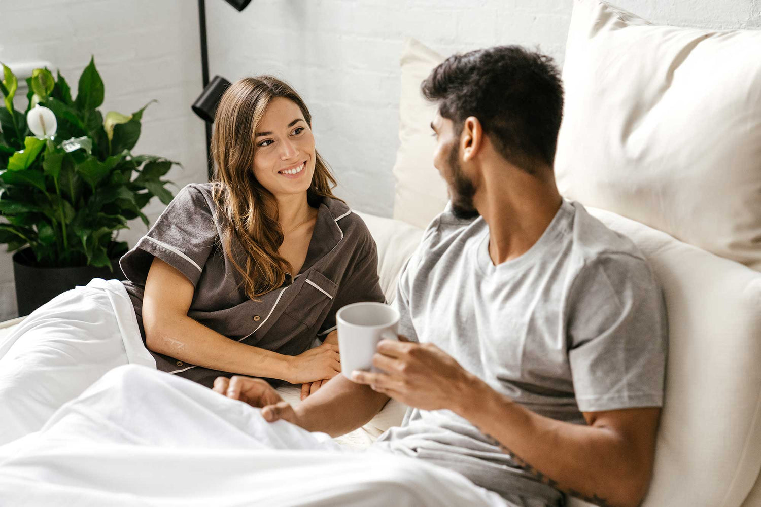 Peace Lily Shipping Information For Australia | Free Shipping